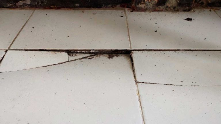 Common Signs of Foundation Problems - Dry Tech Waterproofing Solutions